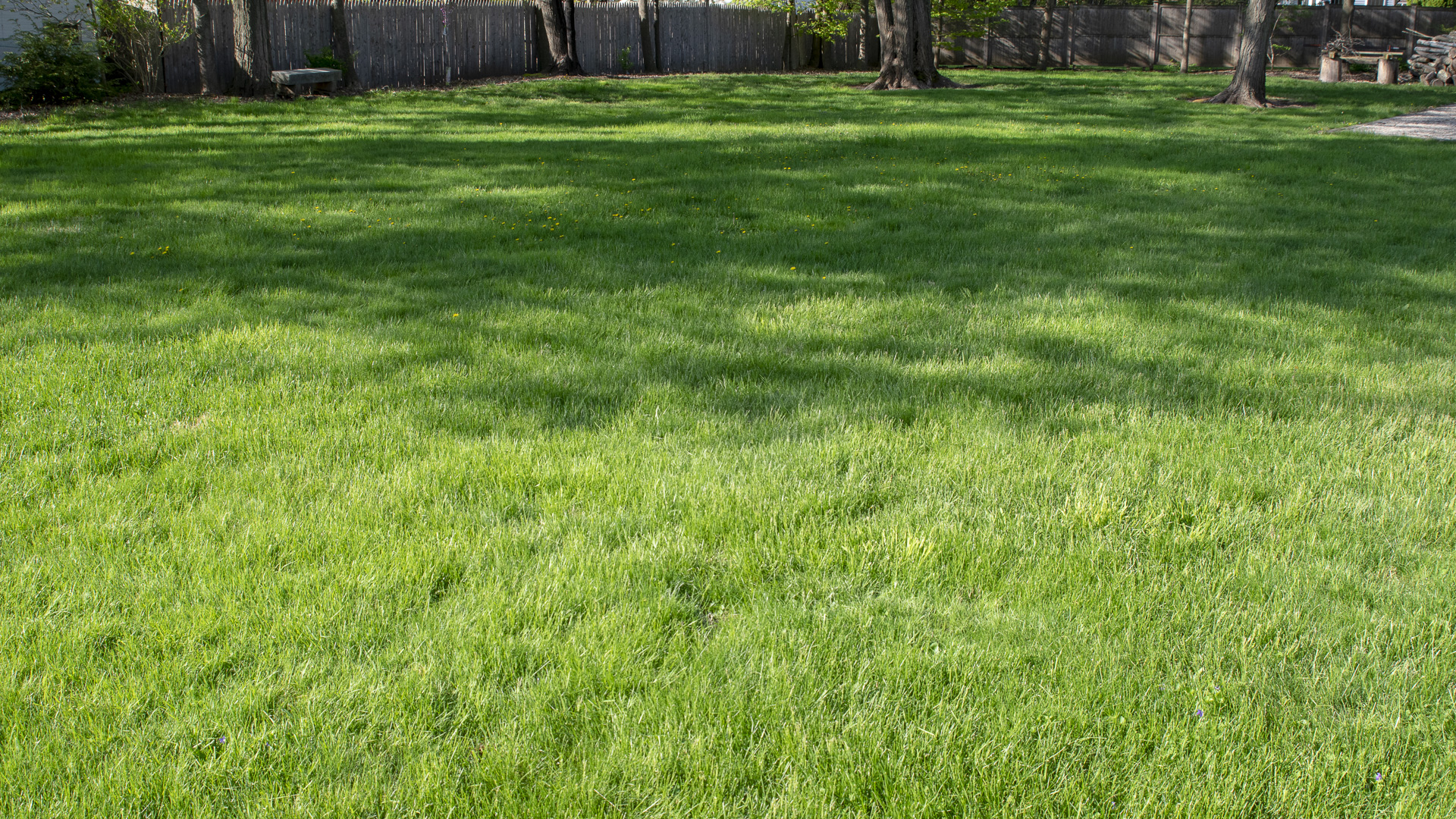 Shade on the Lawn - LAND DESIGNS UNLIMITED LLC